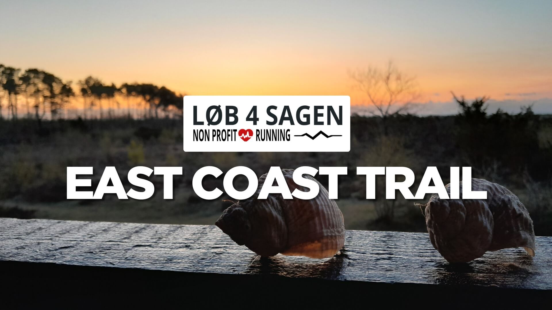 EAST COAST TRAIL 2026